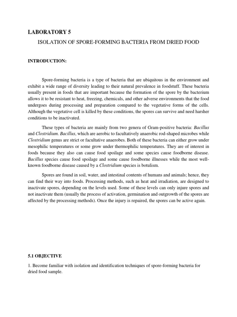 Lab 5-Food Microbe | PDF | Bacteria | Bacillus