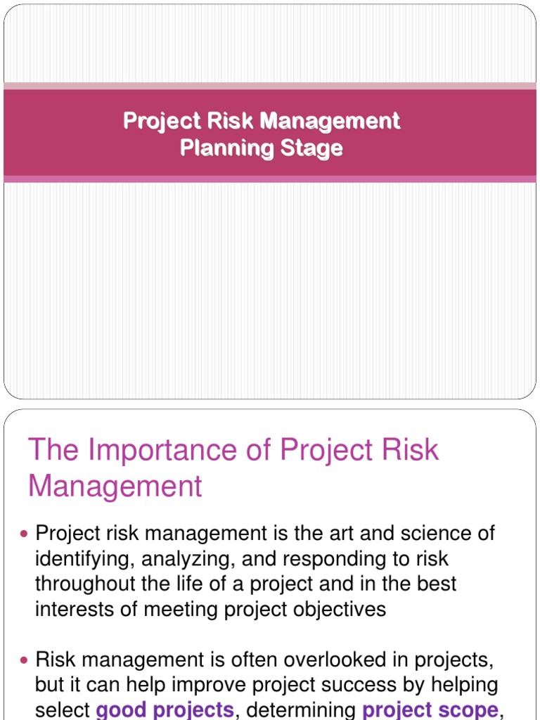 Project Risk Management Planning Stage | PDF | Risk Management | Risk