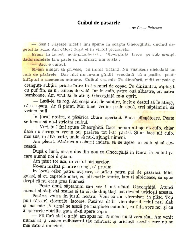 Cuibul de Păsărele Poveste | PDF