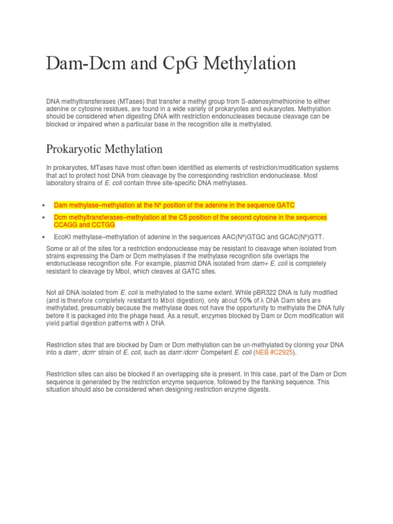 Note On Dam and DCM | PDF