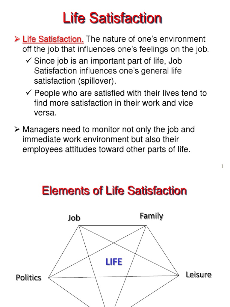 Life Satisfaction | PDF
