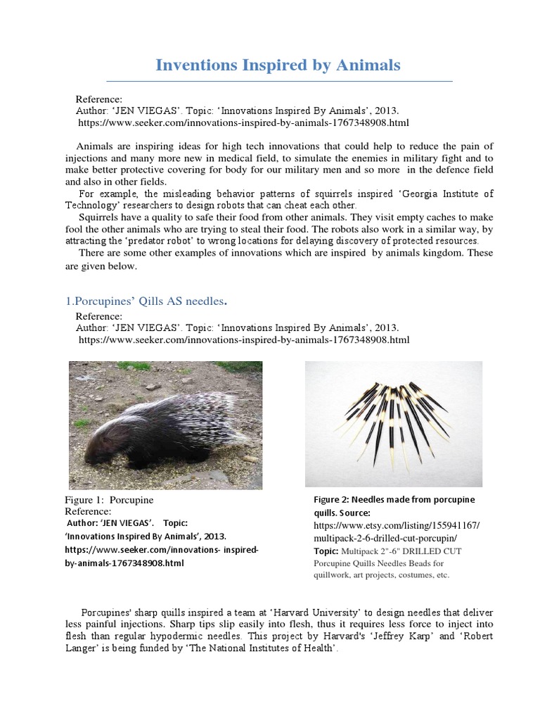 Inventions Inspired by Animals | PDF | Tyrannosaurus | Robotics