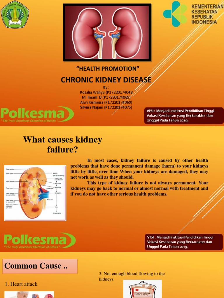 Chronic Kidney Disease: "Health Promotion" | PDF | Chronic Kidney ...