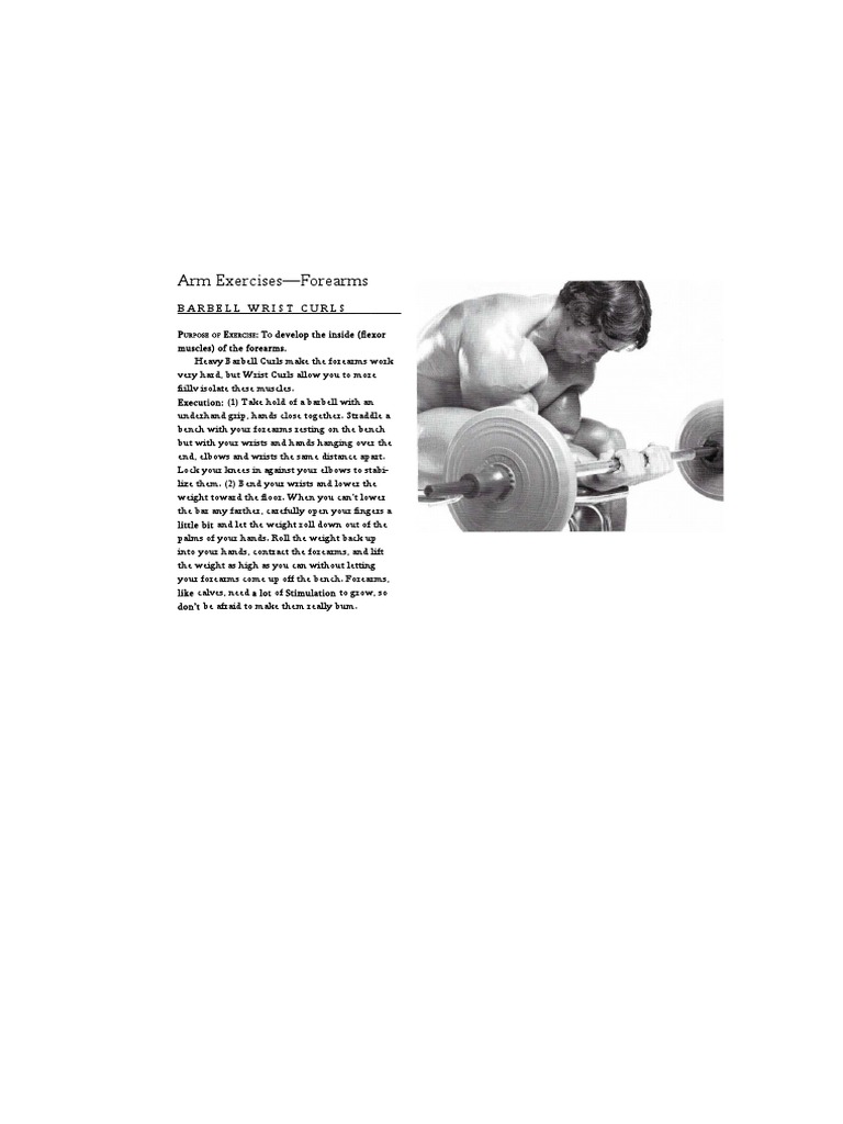Arm Exercises-Forearms: Barbell Wrist Curls | PDF | Hand | Anatomical ...