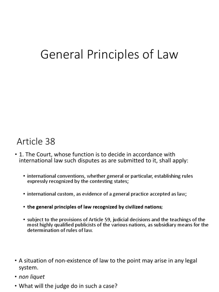 General Principles of International Law | PDF | International Law ...