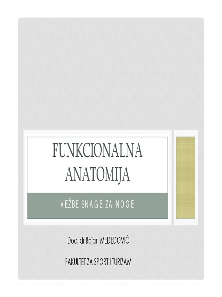 Funkcionalna Anatomija - Vežbe Snage Za Noge PDF | PDF