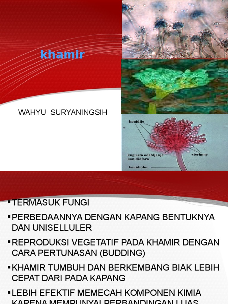 Morfologi dan Reproduksi Khamir | PDF