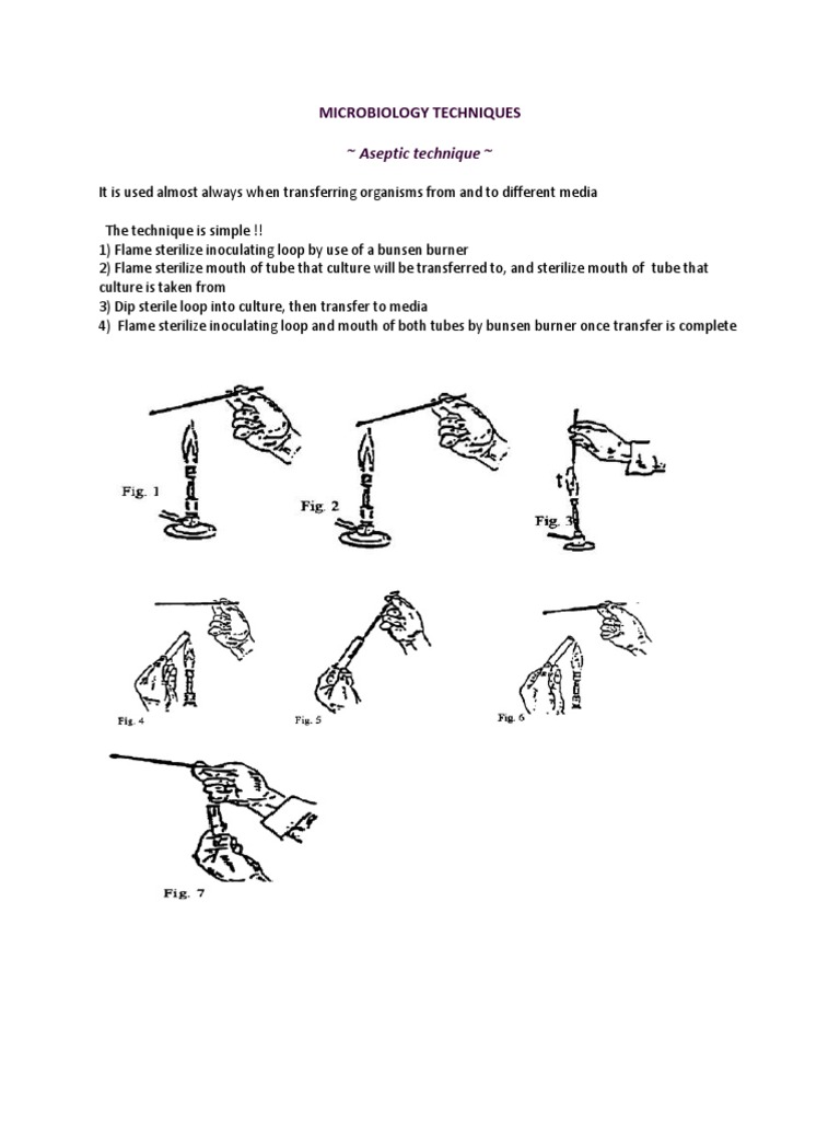Microbiology Techniques Pdf Growth Medium Bacteria
