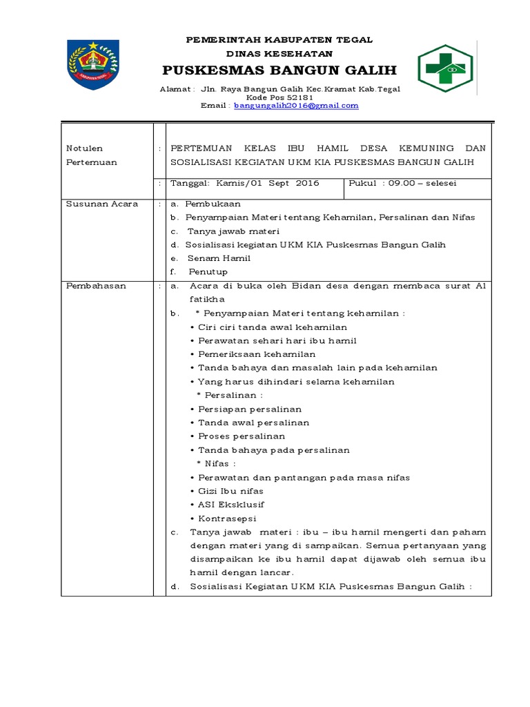 Notulen Kelas Bumil Dan Sosialisasi Program | PDF