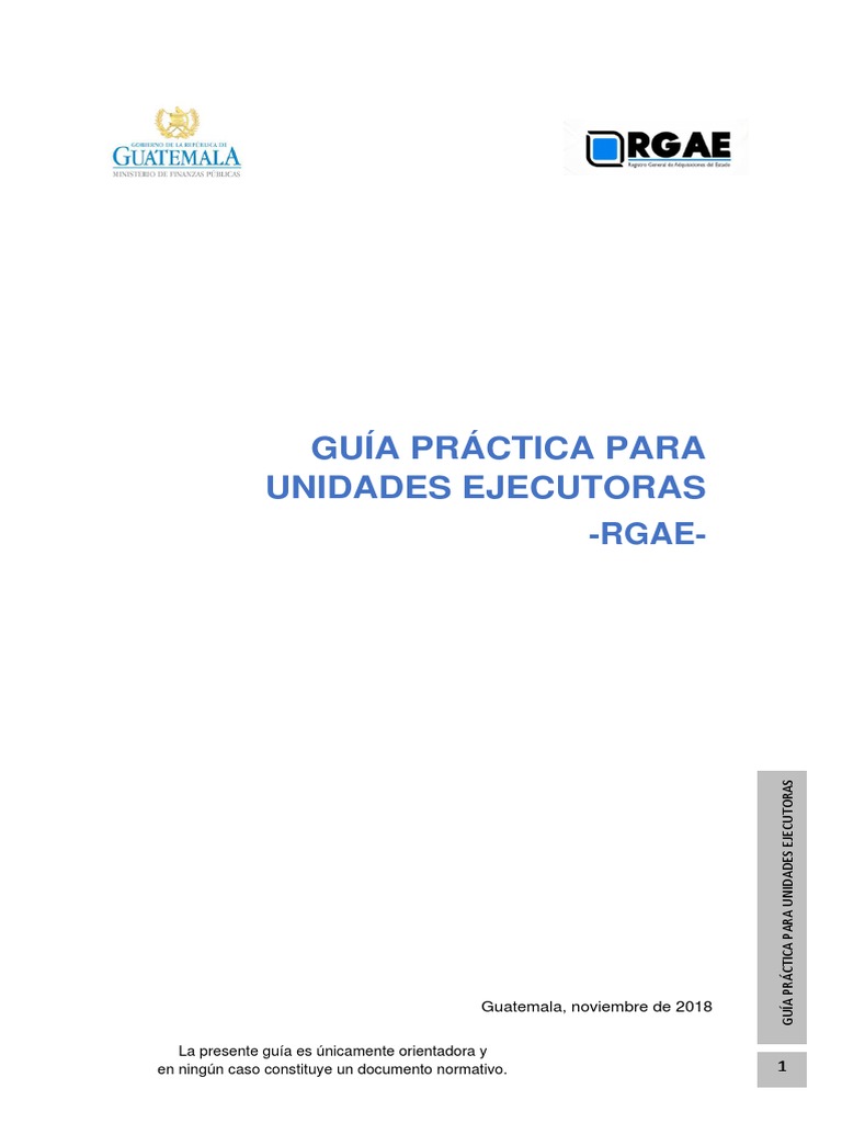Guía RGAE para Unidades Ejecutoras | PDF | Estado (política) | Gobierno