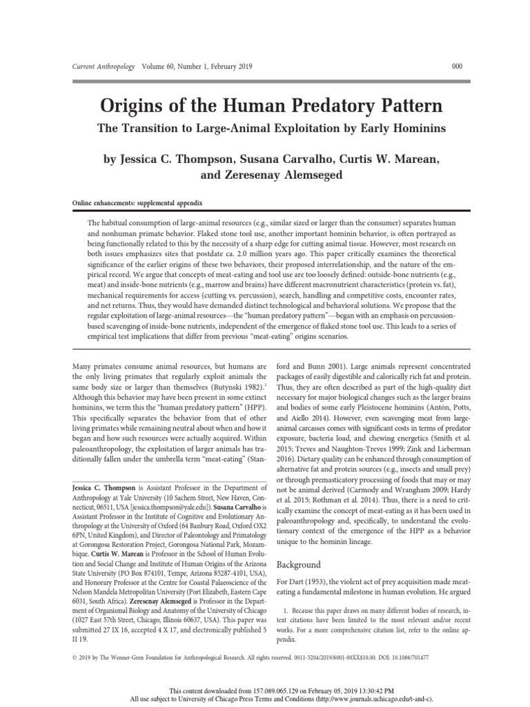 Origins of Predatory Pattern | PDF | Hominidae | Predation