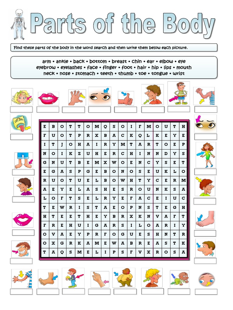 Body Parts Word Search Puzzle | PDF | Language Arts & Discipline ...