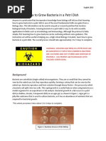 Bacteria Growing For Science Fairs | PDF | Experiment | Hypothesis