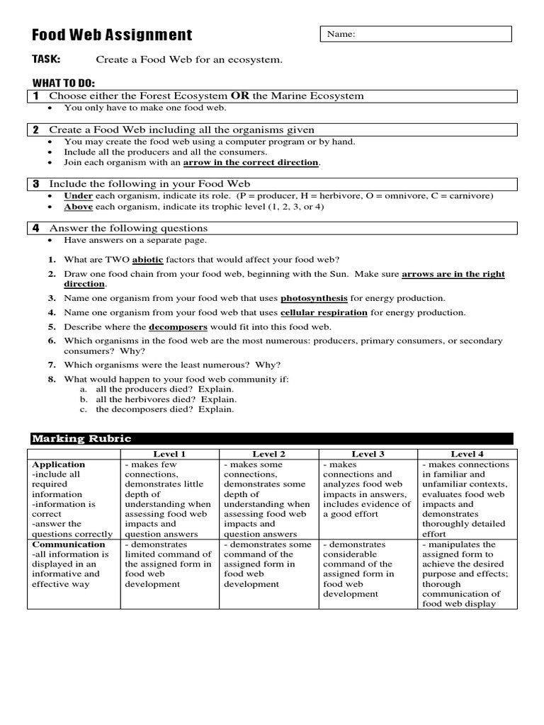 6 Food Web Assignment PDF | PDF | Food Web | Ecosystem