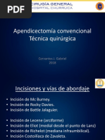 Apendicitis Aguda - Guias de Jerusalem | PDF | Especialidades Quirúrgicas | Gastroenterología