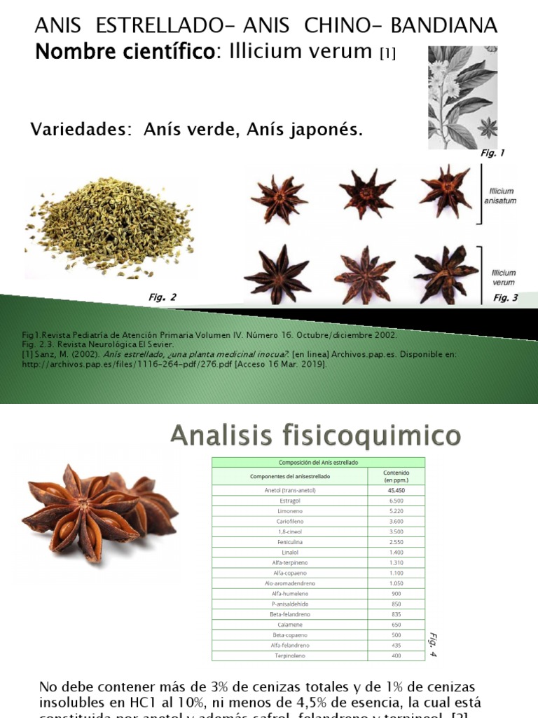 Variedades: Anís verde, Anís japonés | Plantas Medicinales De Asia ...