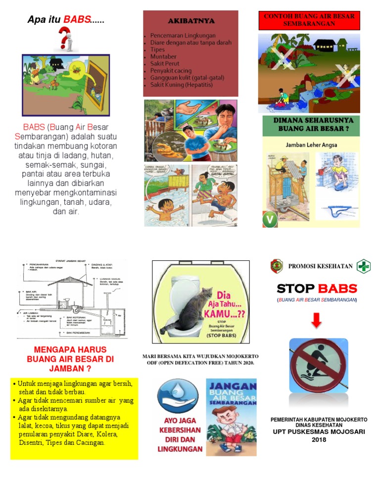 Leaflet Odf Edit | PDF