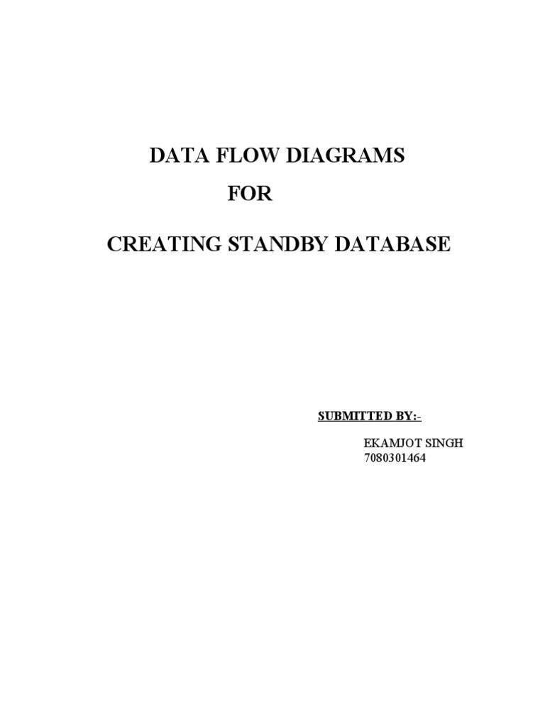 Data Flow Diagrams | PDF | Computers | Technology & Engineering