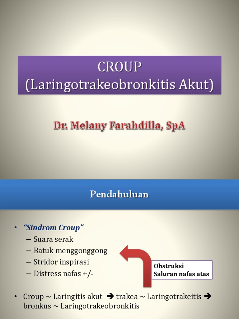 Croup DR - Melany | PDF