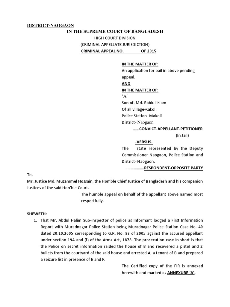 Criminal Bail Petition | PDF | Bail | Prosecutor