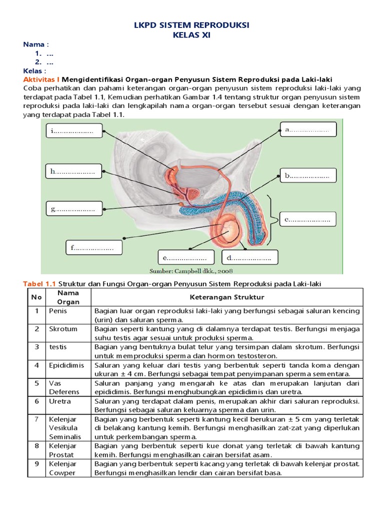 LKPD Sistem Reproduksi | PDF