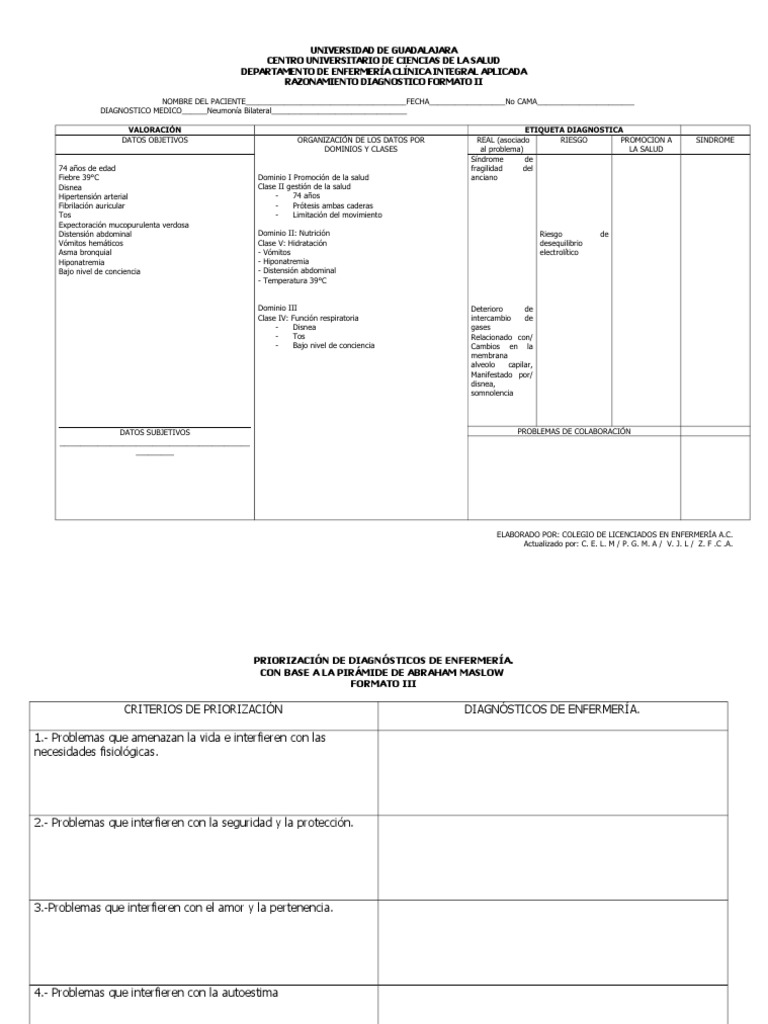 Formato PAE | PDF | Ciencias de la Salud | Medicina CLINICA