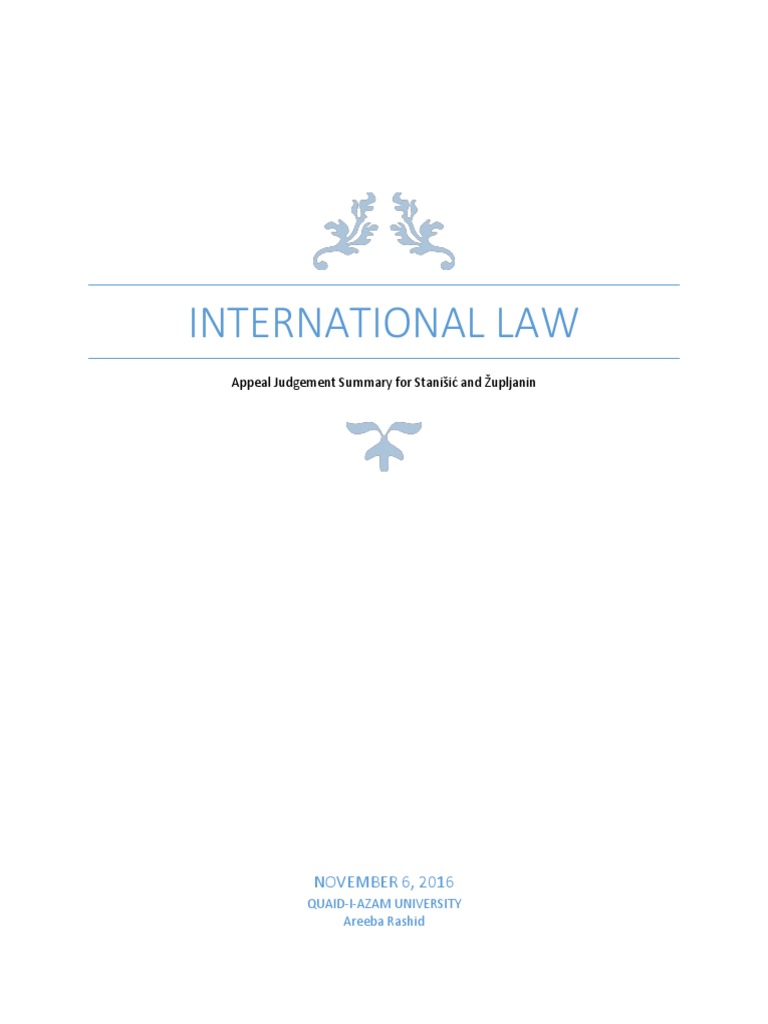 International Law Asignment | PDF | Crimes Against Humanity | Government Information