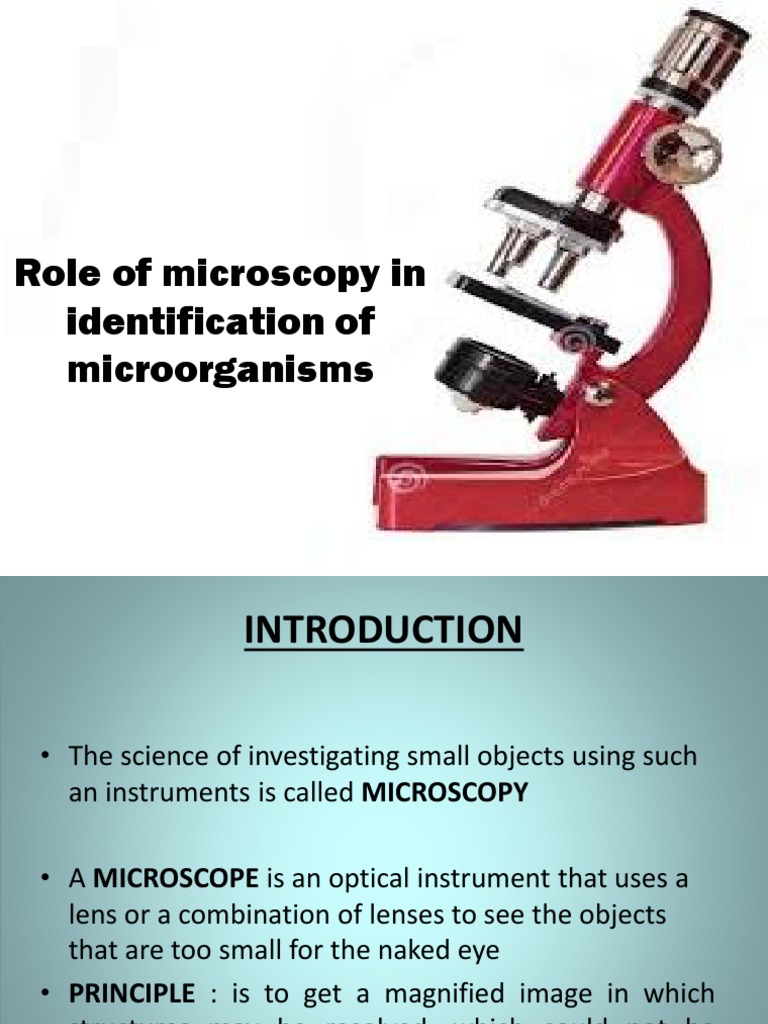 Role of Microscopy in Identification of Microorganisms | PDF ...