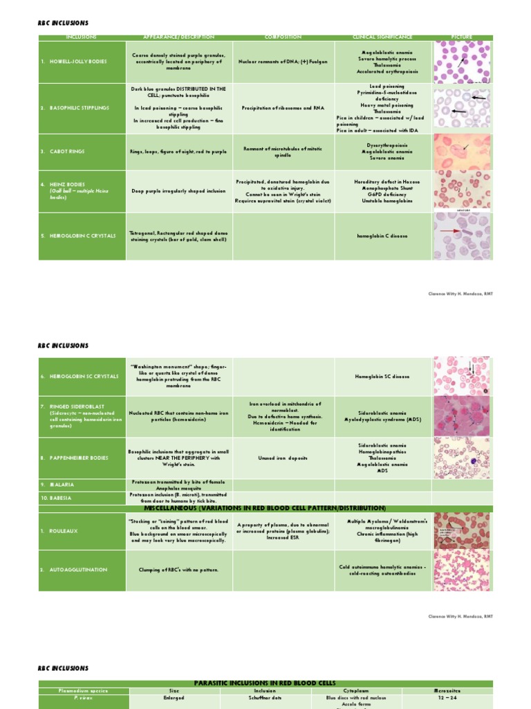 Inclusions Hematology | PDF | Red Blood Cell | Anemia