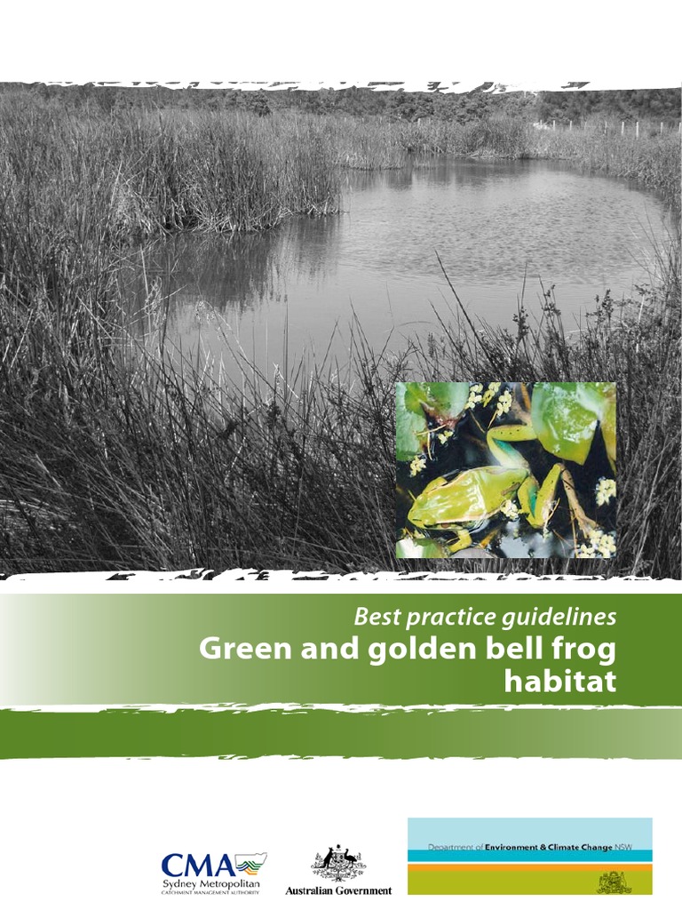Green and Golden Bell Frog Habitat: Best Practice Guidelines | PDF ...