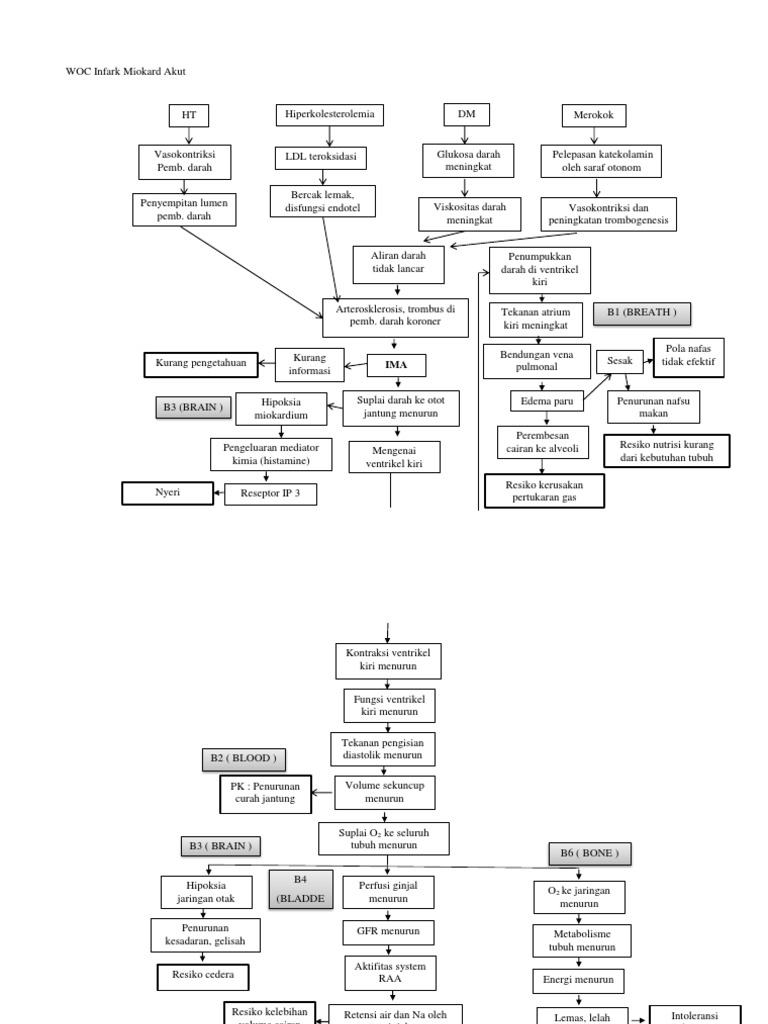 WOC Infark Miokard Akut | PDF
