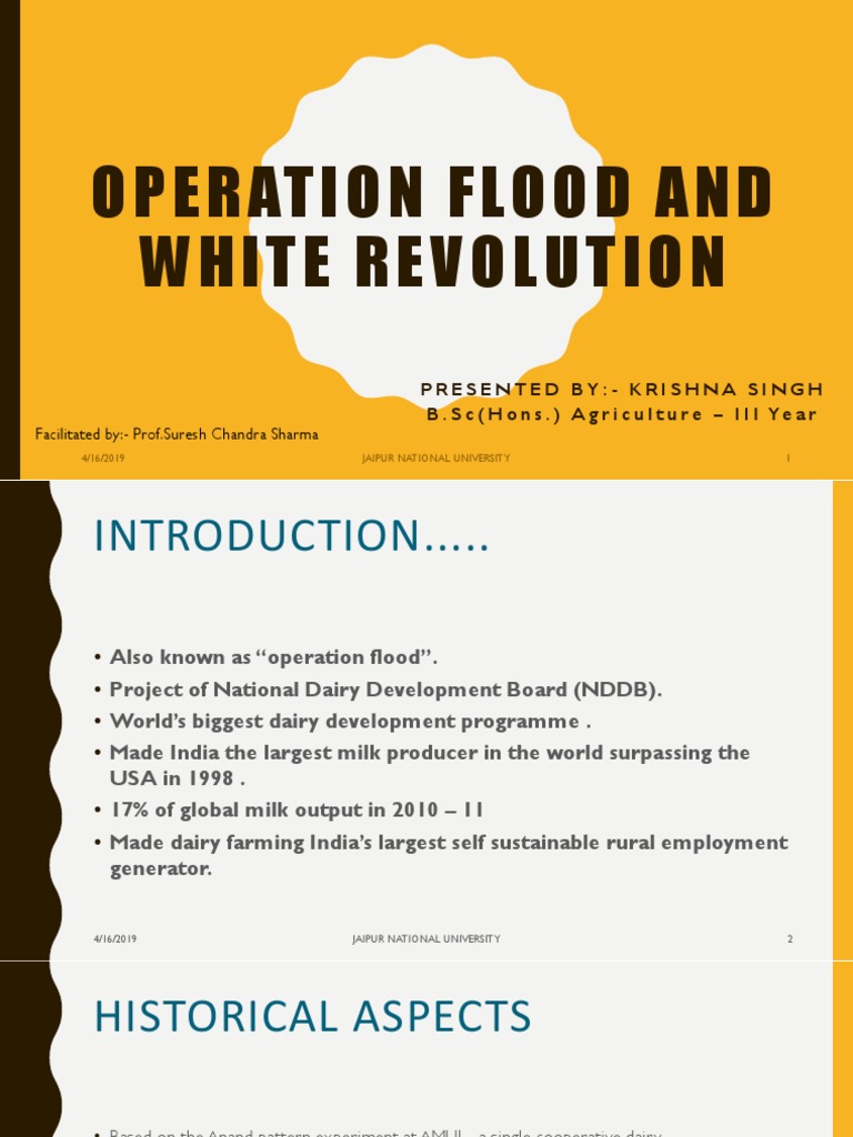 Operation Flood and White Revolution | PDF | Food Industry | Economies