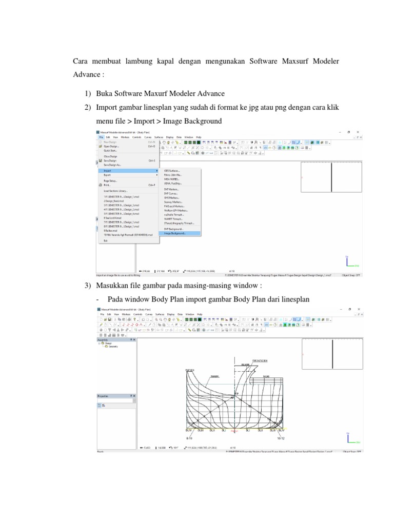 Tutorial Maxsurf Modeler | PDF