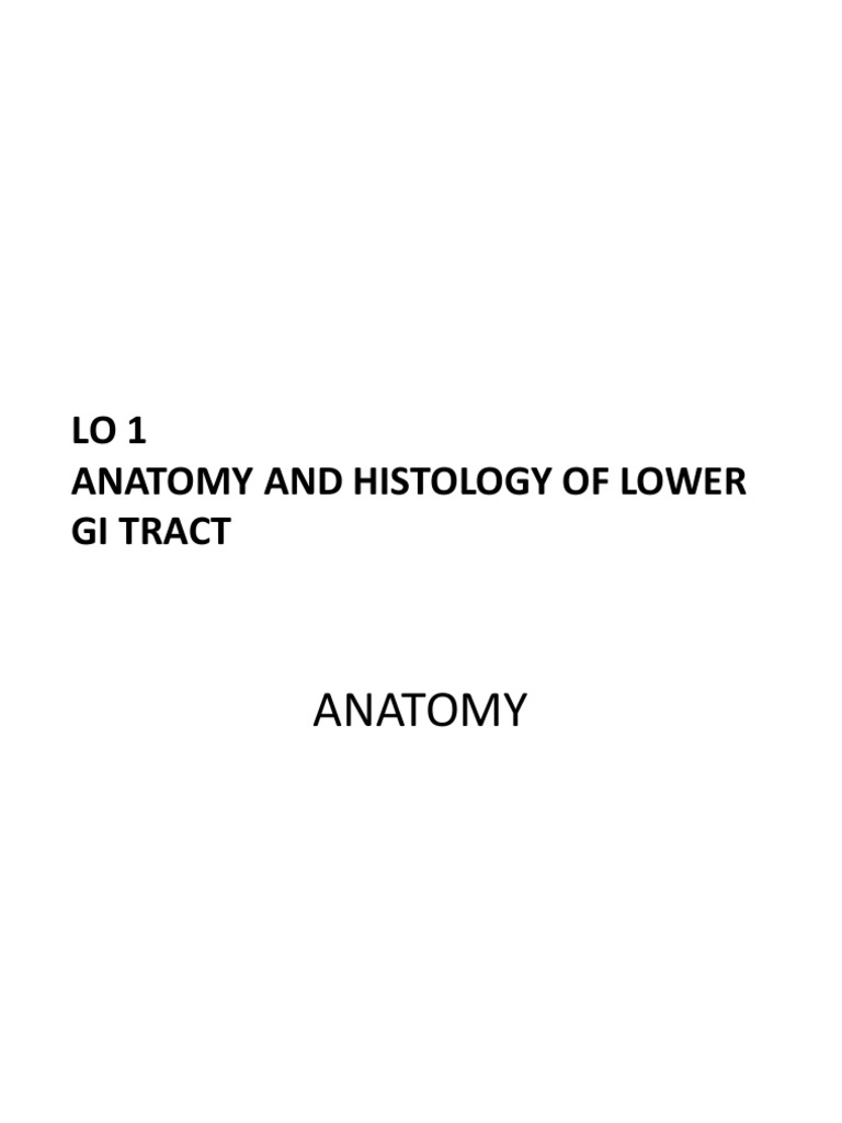 LO1 Anatomy and Histology of Lower Gi Tract | PDF | Diarrhea | Small ...