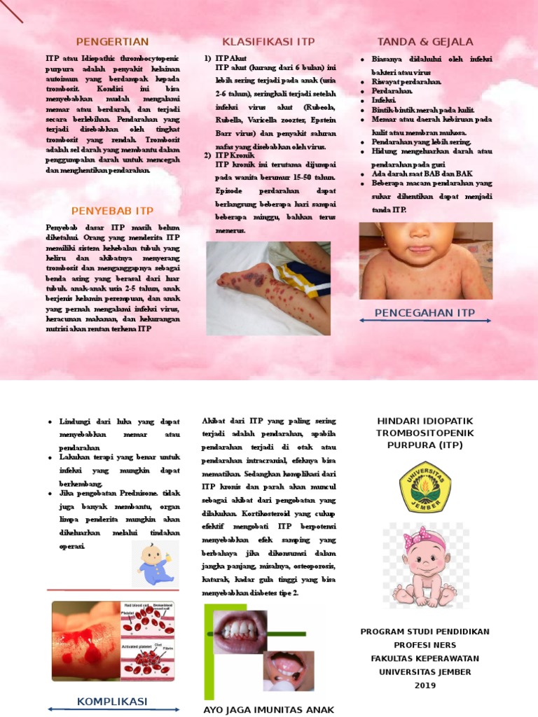 Leaflet ITP Edit | PDF