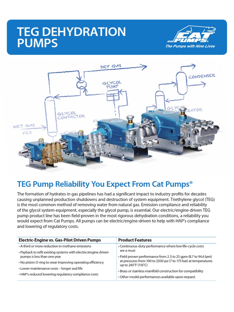 Triplex Plunger TEG Dehydration Pumps | PDF | Gas Technologies | Pump