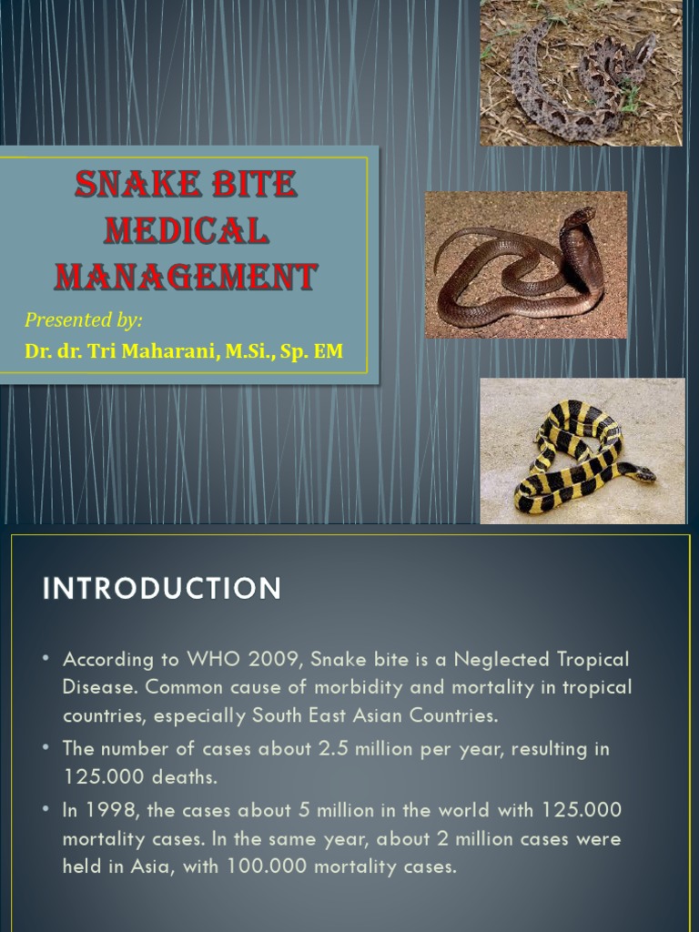 Dr. Dr. Tri Maharani, M.si., Sp. em - Snake Bite Medical Management ...