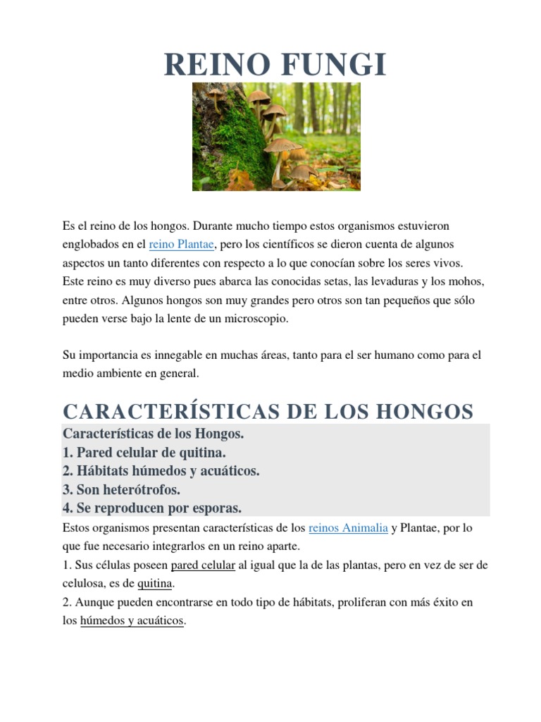 REINO FUNGI y Microscopio | PDF | Hongo | Fluorescencia