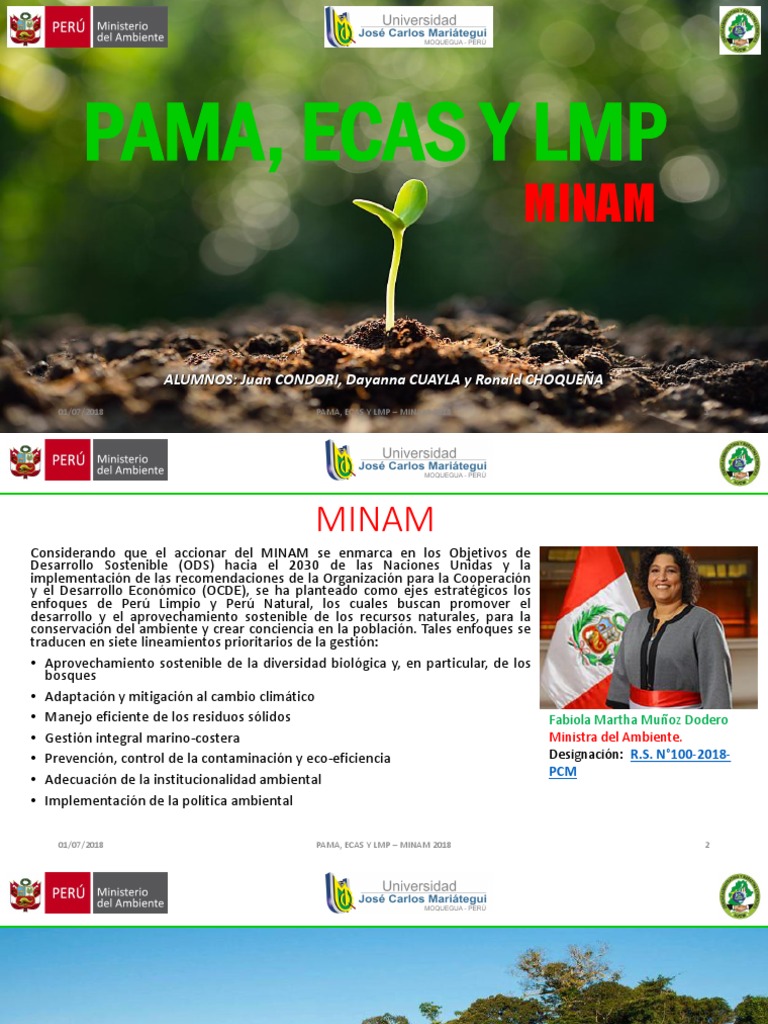 Pama, Ecas y LMP - Gestión Ambiental PDF | PDF | La contaminación del aire | Naturaleza