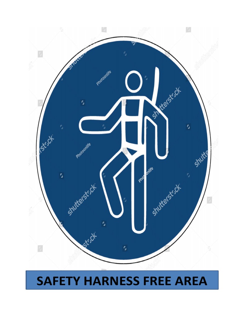 Safety Harness | PDF