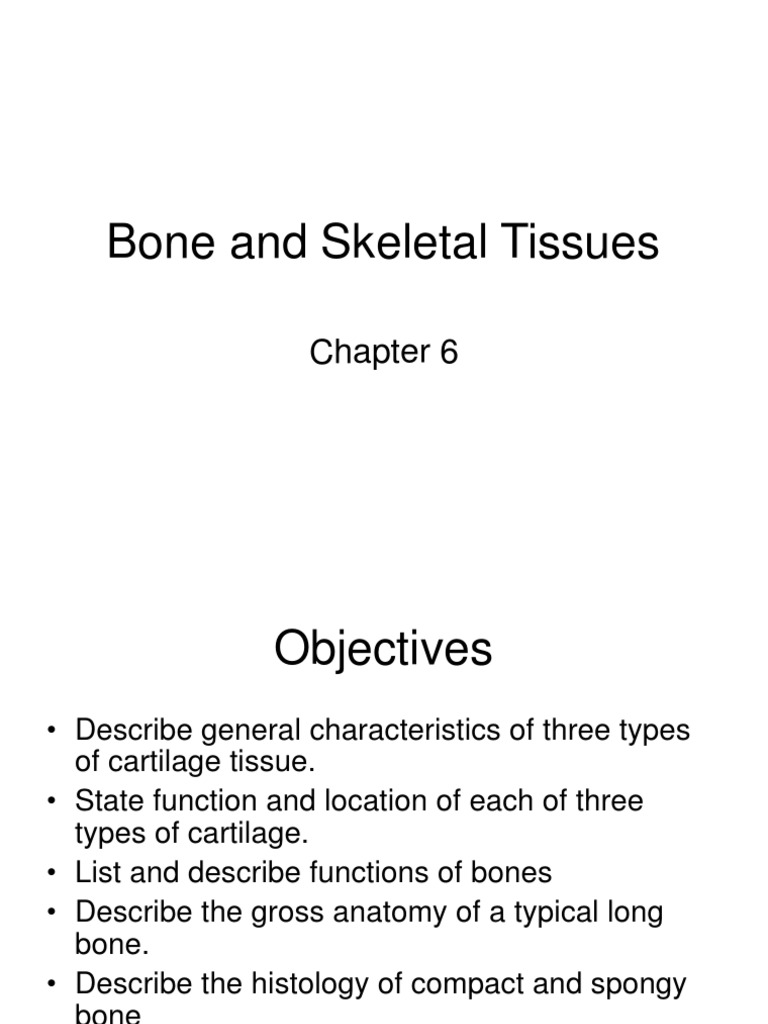 Chapter 6 Bones and Skeletal Tissues | PDF | Cartilage | Bone