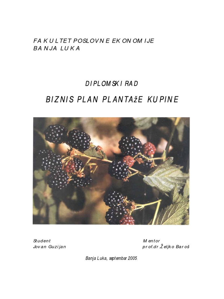Biznis Plan Za Kapini PDF | PDF