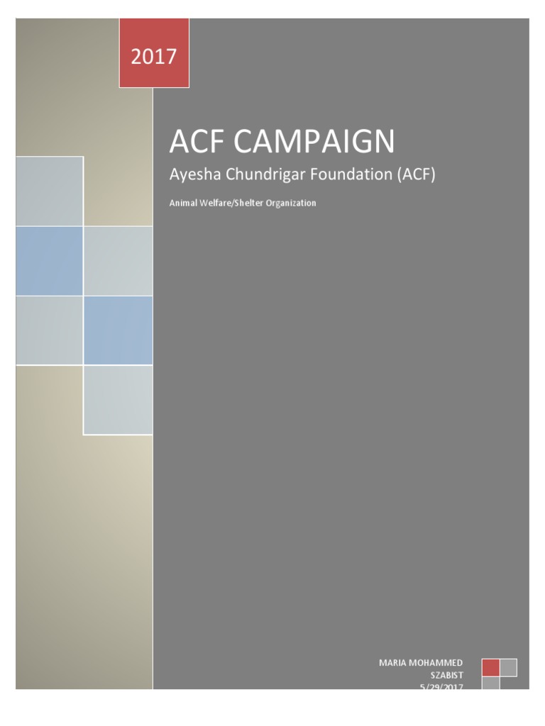 ACF Report | PDF | Advertising | Mass Media