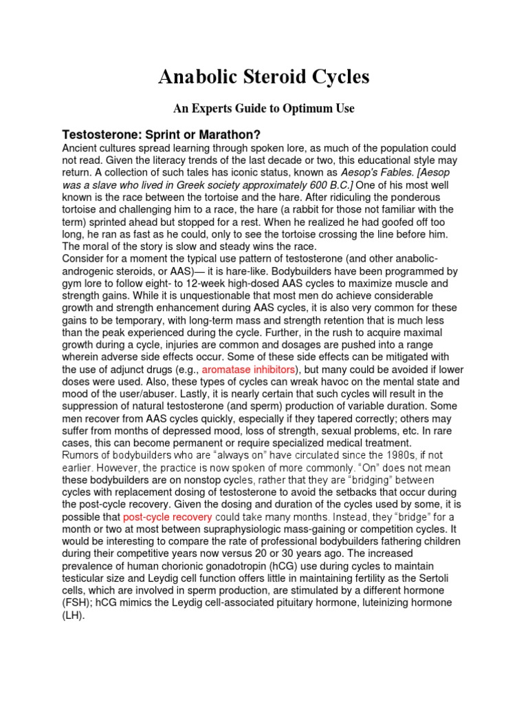 Anabolic Steroid Cycles: An Experts Guide To Optimum Use Testosterone ...