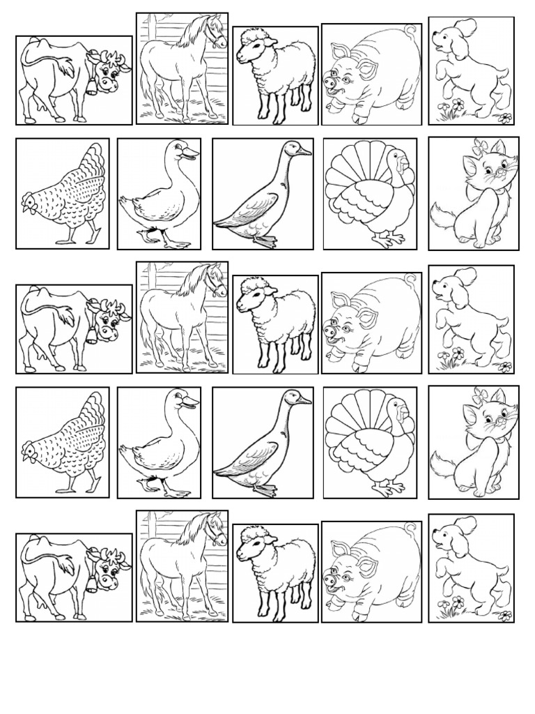 Domace I Divlje Zivotinje | PDF