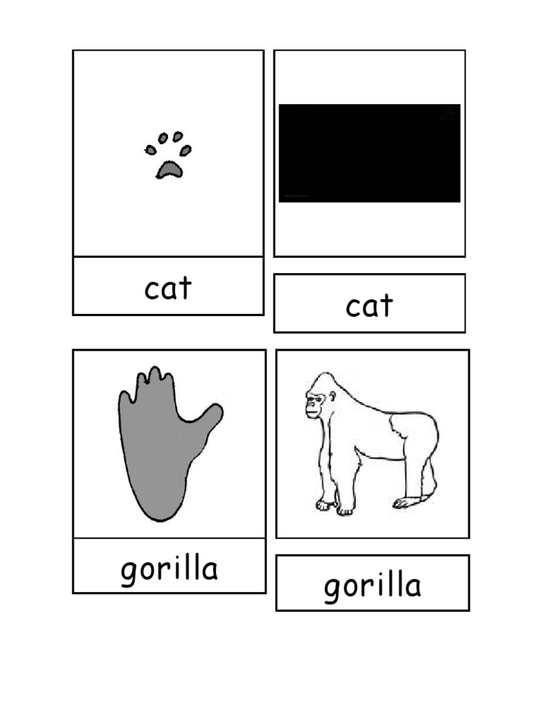 Animal Tracks | PDF