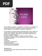Definición de Osteona en Hueso Compacto | PDF | Hueso | Morfología ...