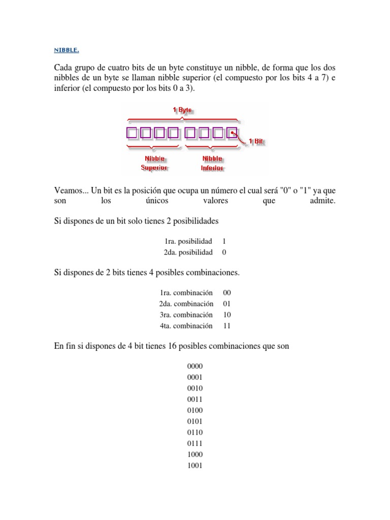 Nibble y Matriz 8X8 | PDF | Poco | Codificaciones