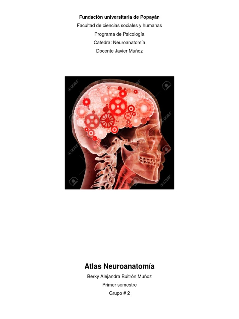 Atlas Neuro | PDF | Sistema nervioso central | Cerebro