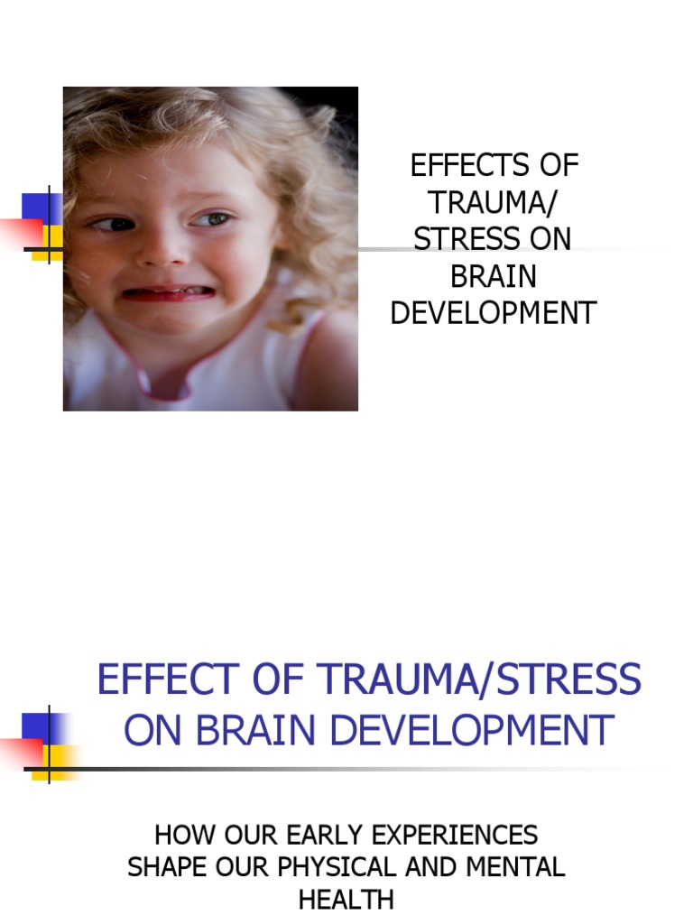 Trauma's Impact on Brain Development | PDF | Stress (Biology ...